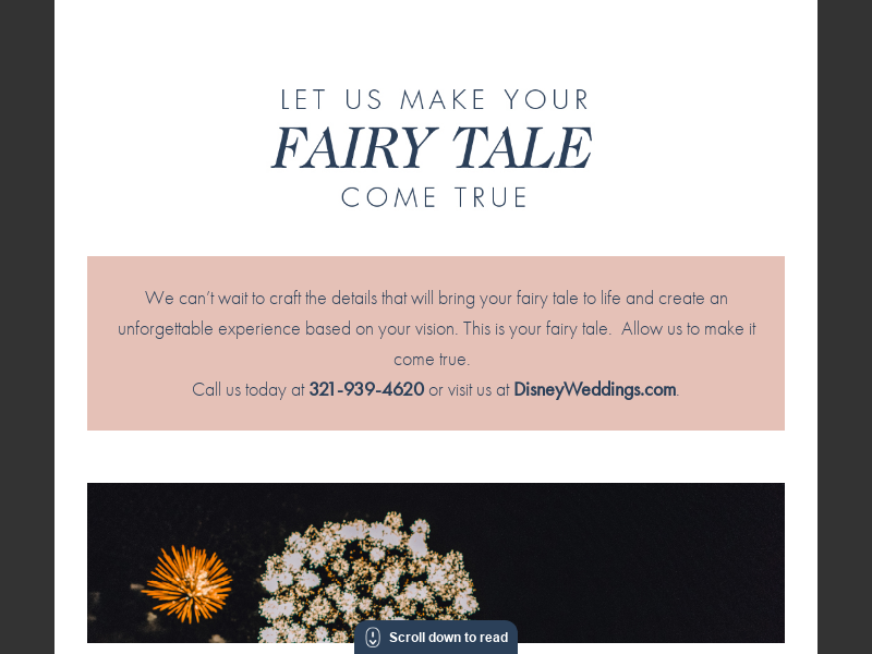 Weddings & Honeymoons BrochureLet Us Make Your Fairy Tale Come True